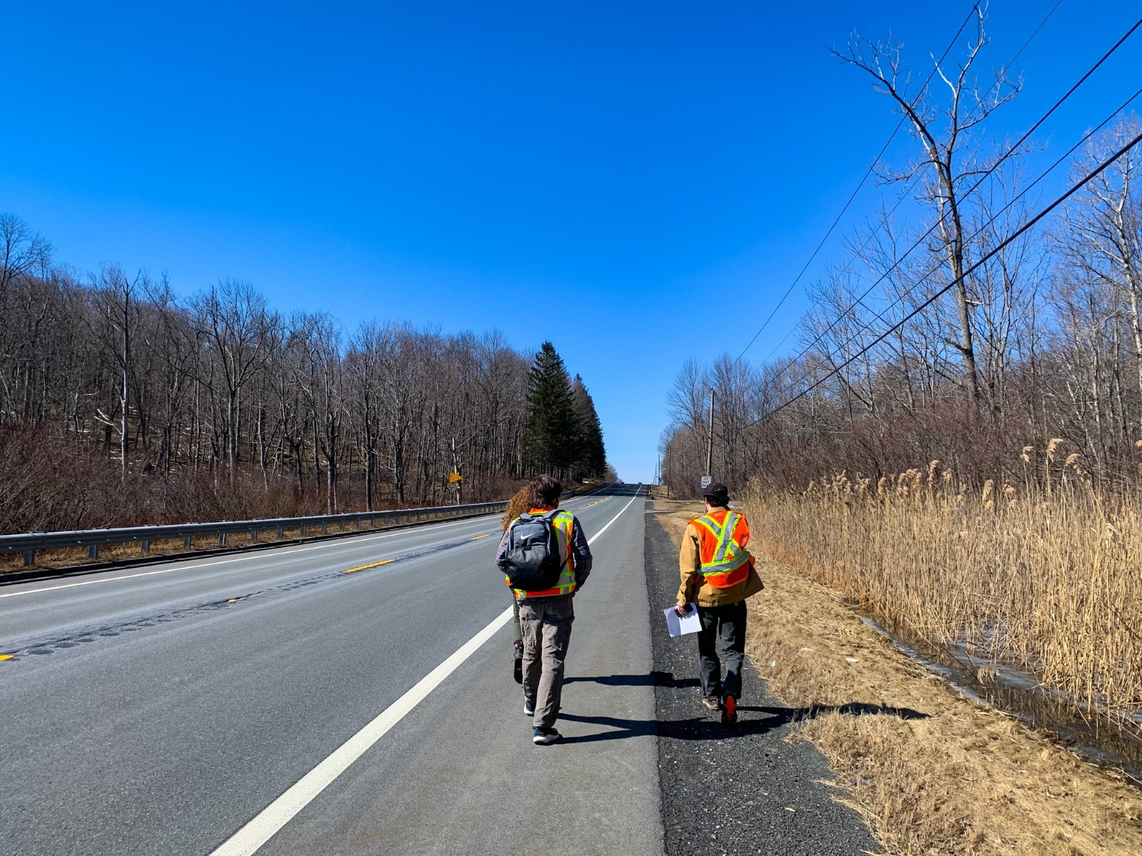 HVA named to Peregrine Accelerator Cohort for Conservation - The Kent Dispatch