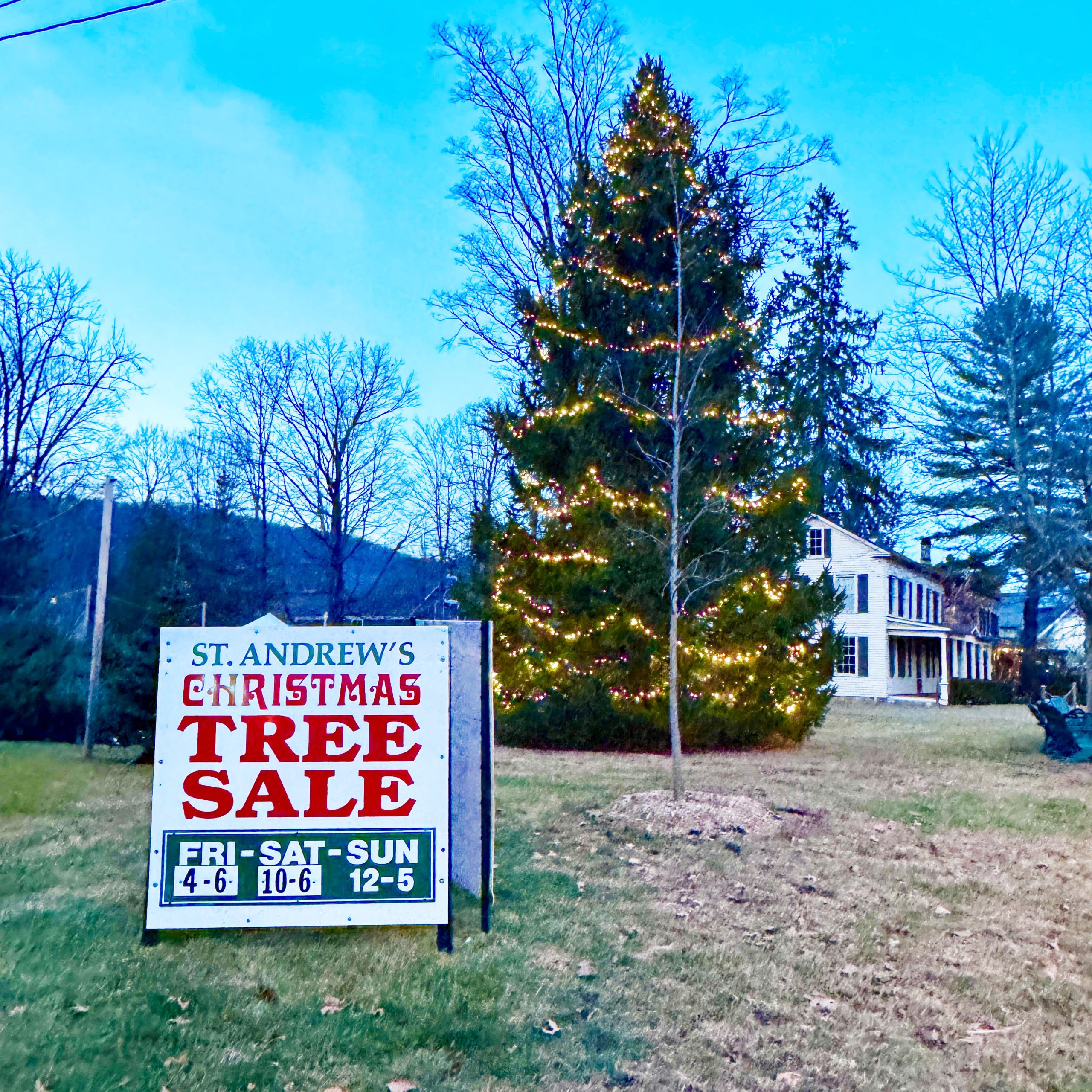 St. Andrew's begins tree sale - The Kent Dispatch